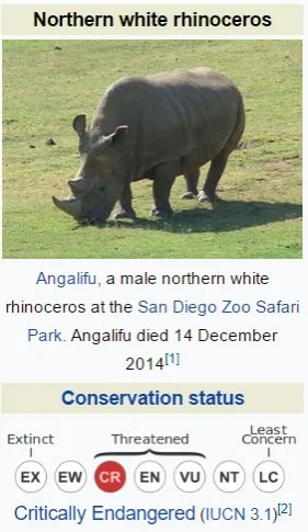 mam 11 - Level Up IAS