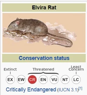 mam 3 - Level Up IAS